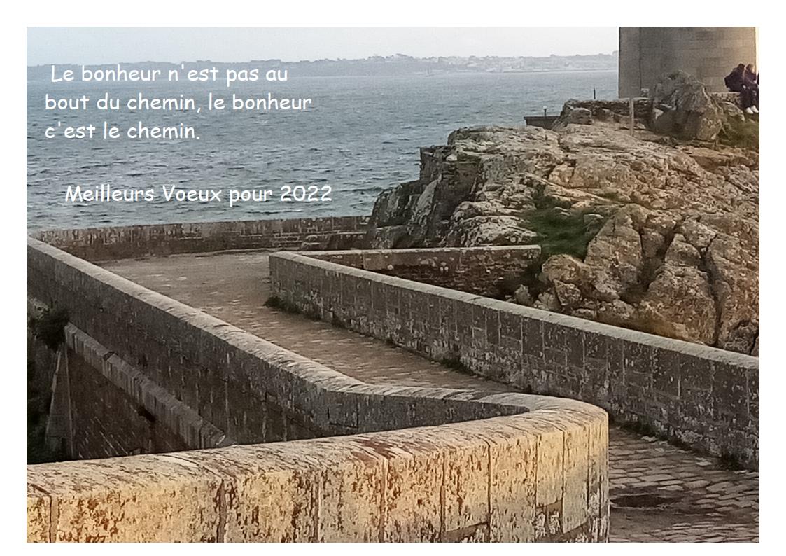 BONNE ANNÉE 2022 - MNLE - Mouvement National de Lutte pour l'Environnement