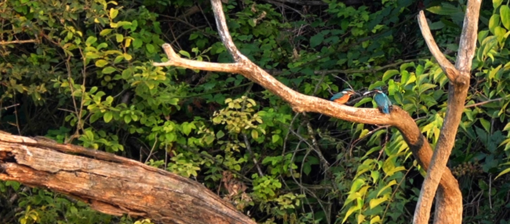 Les activités du MNLE 93 au 4e trimestre 2024 - MNLE - Mouvement ...